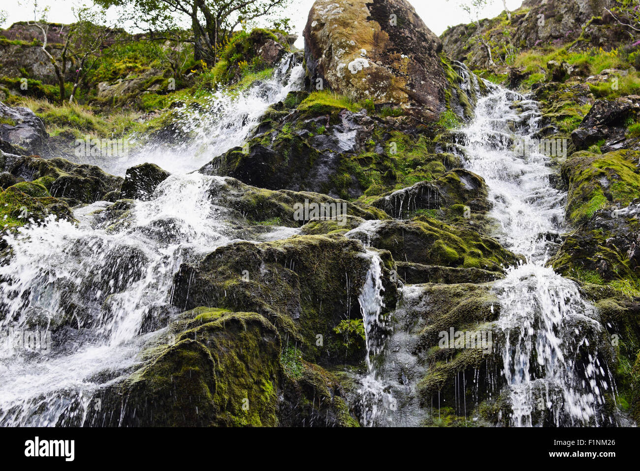 Moss Force waterfall in Borrowdale, Lake District, Cumbria, England ...