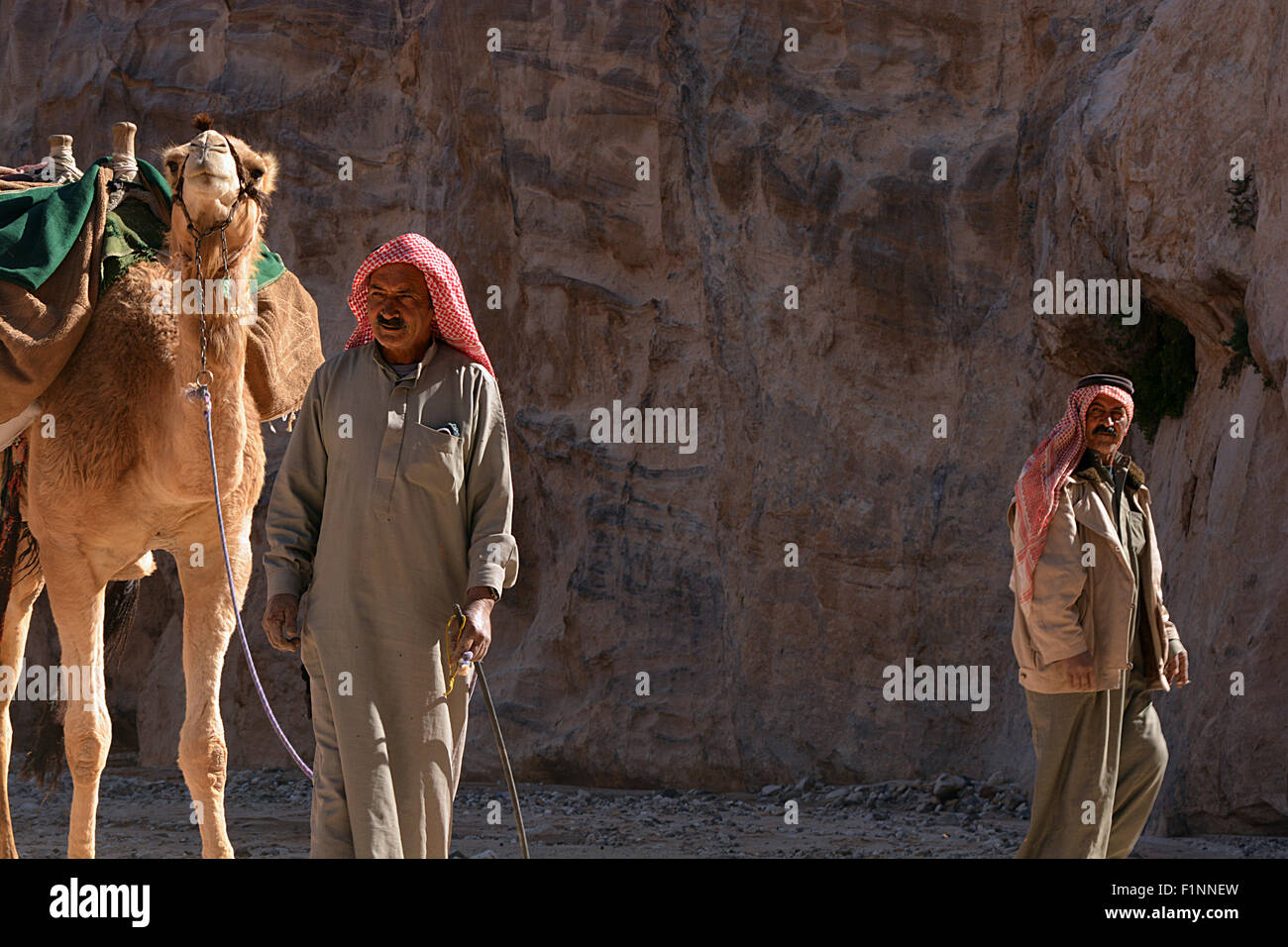 Arabs and camels collection Stock Photo - Alamy