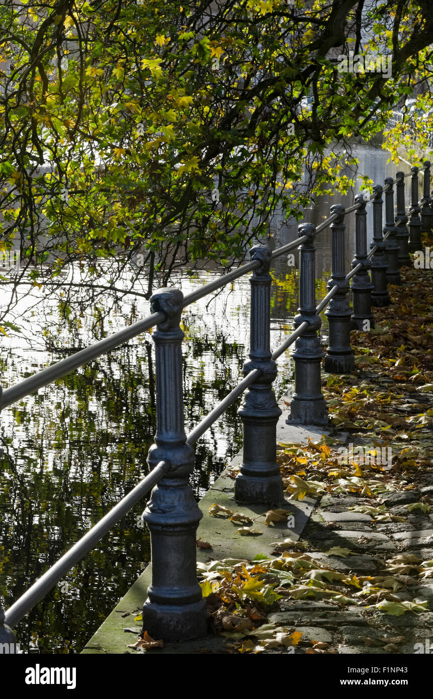 Riverside railings with overhanging trees Stock Photo - Alamy