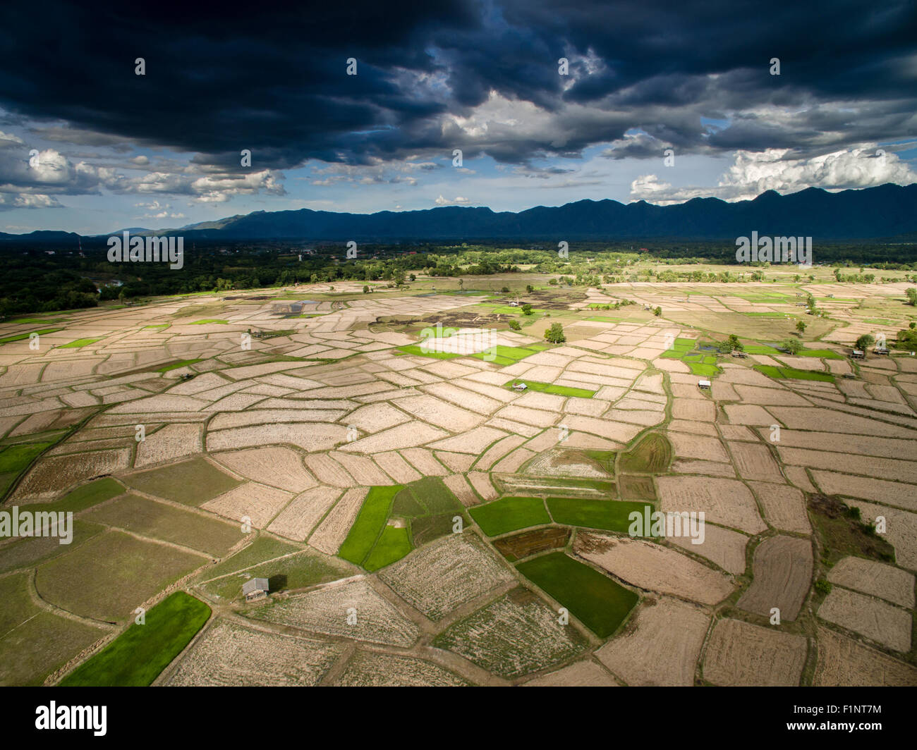 Dry rice field hi-res stock photography and images - Alamy