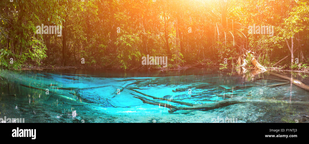 Emerald blue Pool. Krabi, Thailand Stock Photo - Alamy