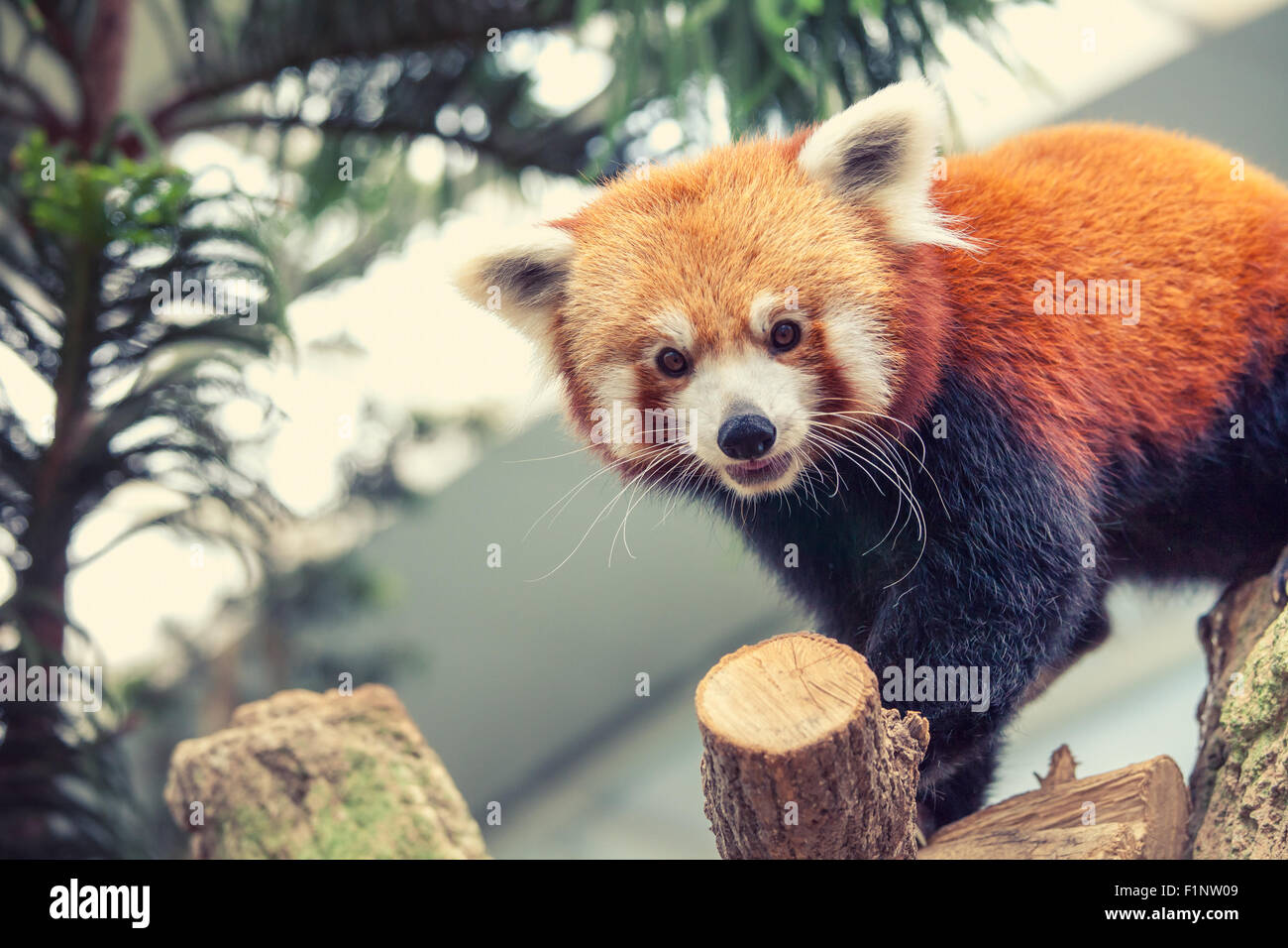 Lovely bhutan hi-res stock photography and images - Alamy