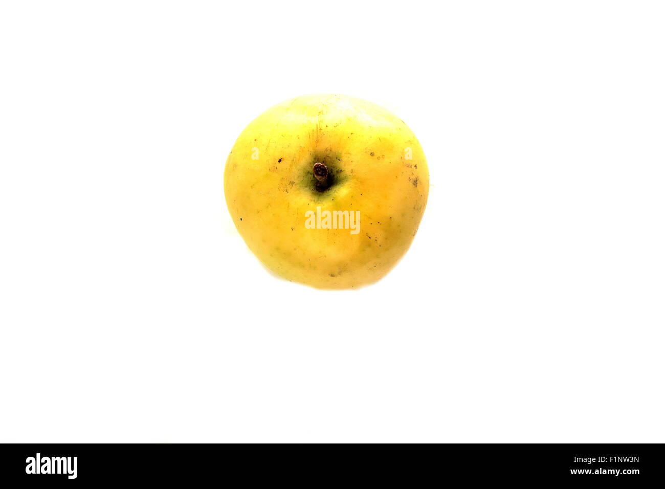 torn from a tree ripe apple on a white background Stock Photo - Alamy