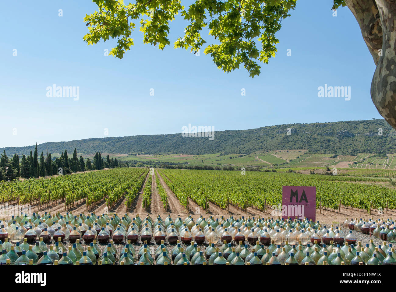 At Mas Amiel, natural sweet wine matures in "touries" under the ...