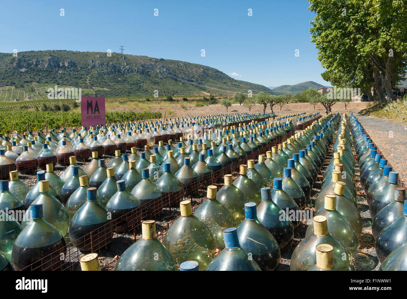 At Mas Amiel, natural sweet wine matures in "touries" under the ...