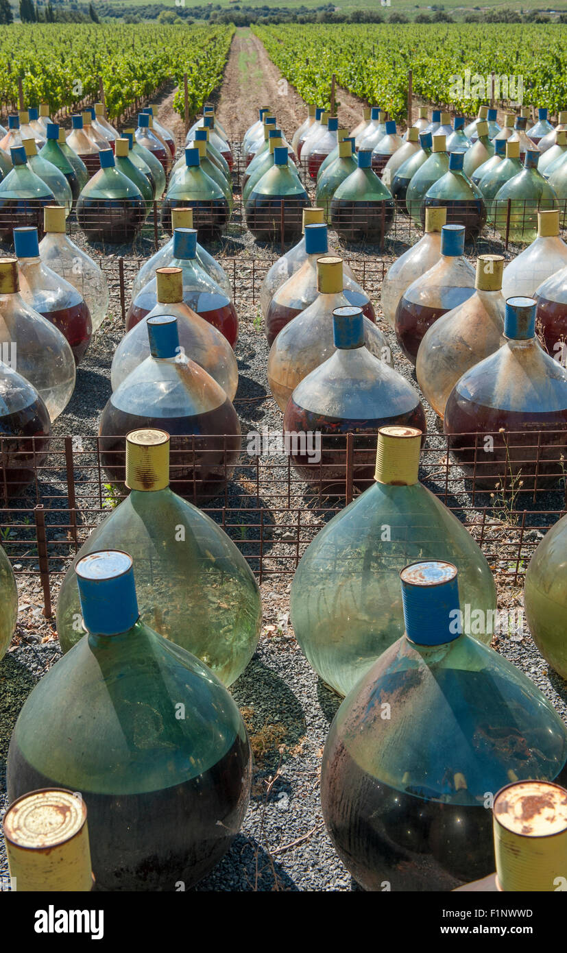 At Mas Amiel, wine matures in "touries" under the Roussillon's blue sky ...