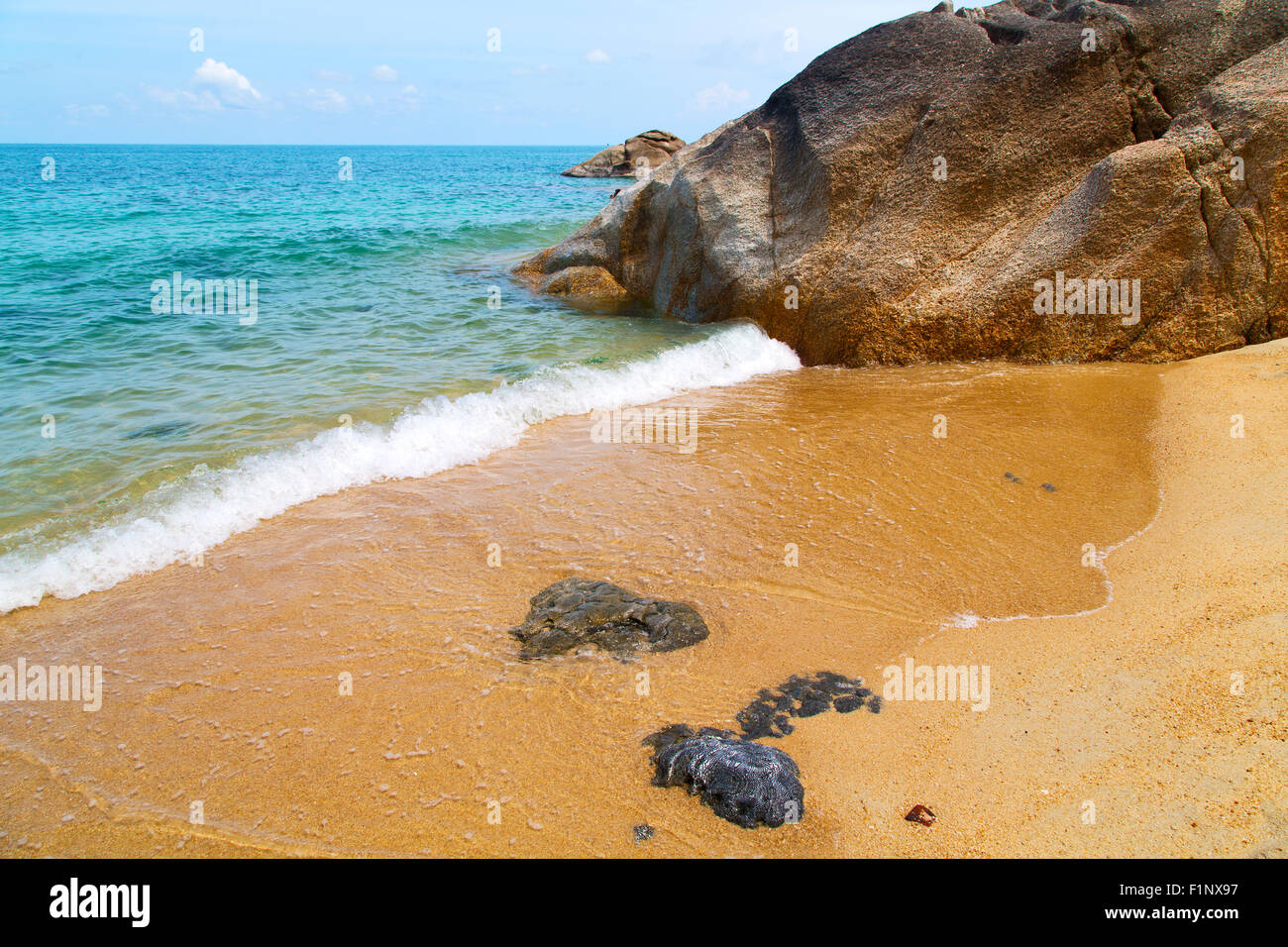 kho samui bay asia isle white beach tree rocks in thailand and south ...