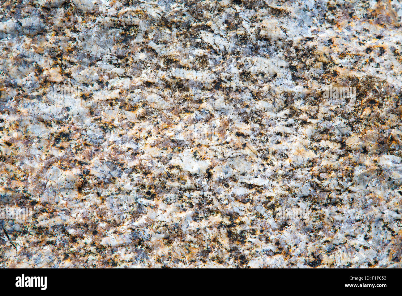footstep kho samui bay thailand asia rock stone abstract texture south ...