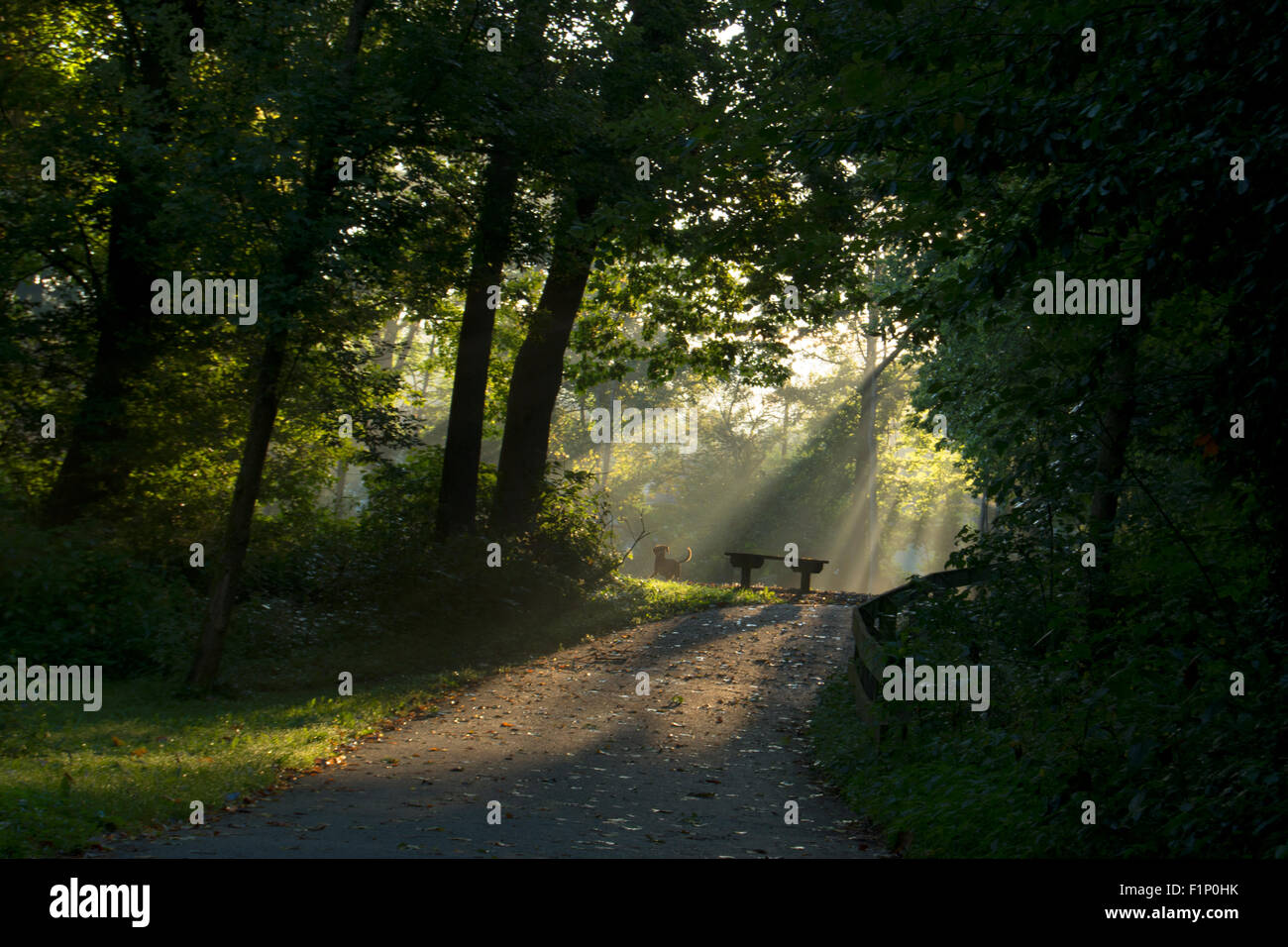 Walking bench hi-res stock photography and images - Alamy