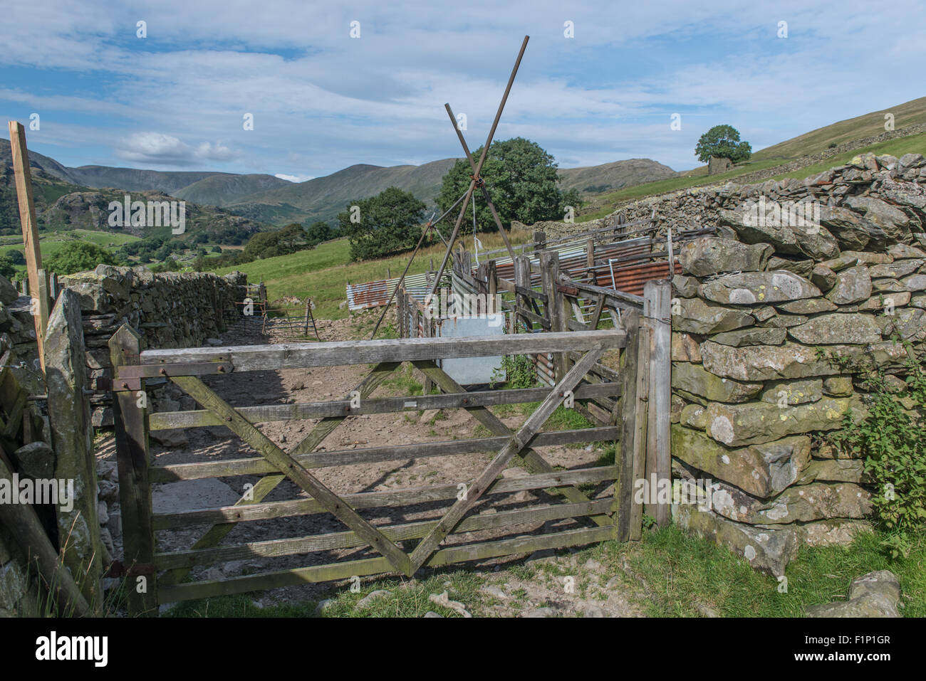 Sheep pens hi-res stock photography and images - Alamy