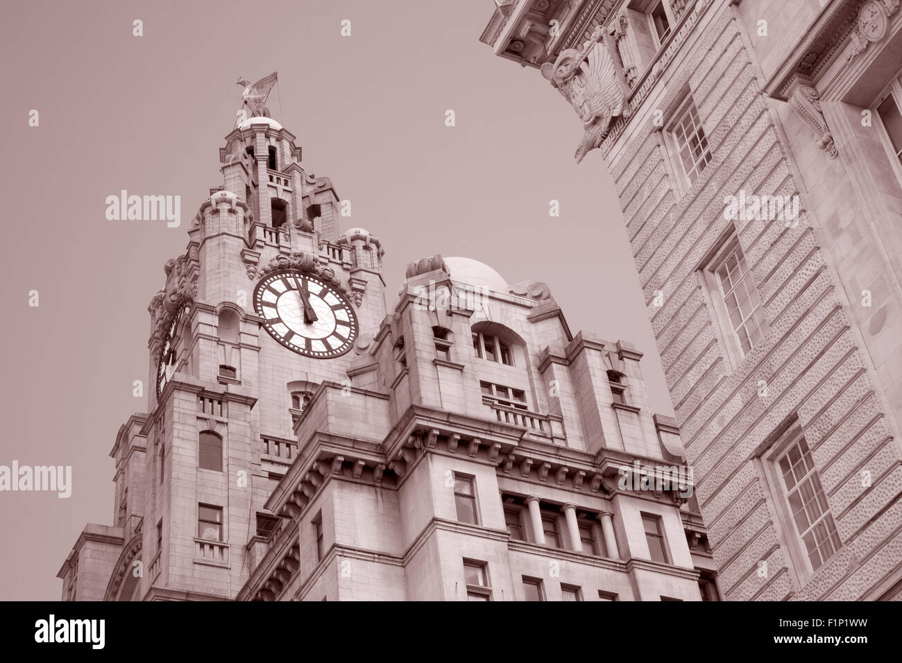 Liver building in black and white hi-res stock photography and images ...