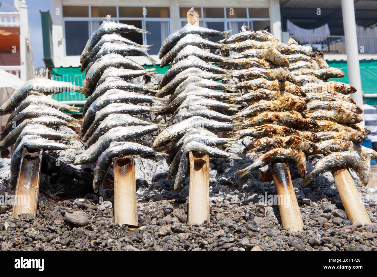 Espetos preparation. Espetos are skewer with sardines in a fire typical ...