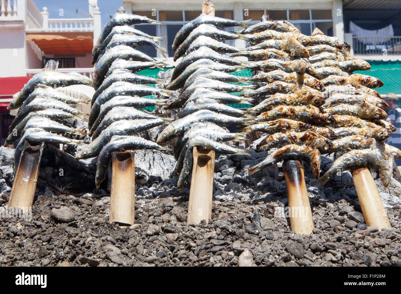 Espetos preparation. Espetos are skewer with sardines in a fire typical ...