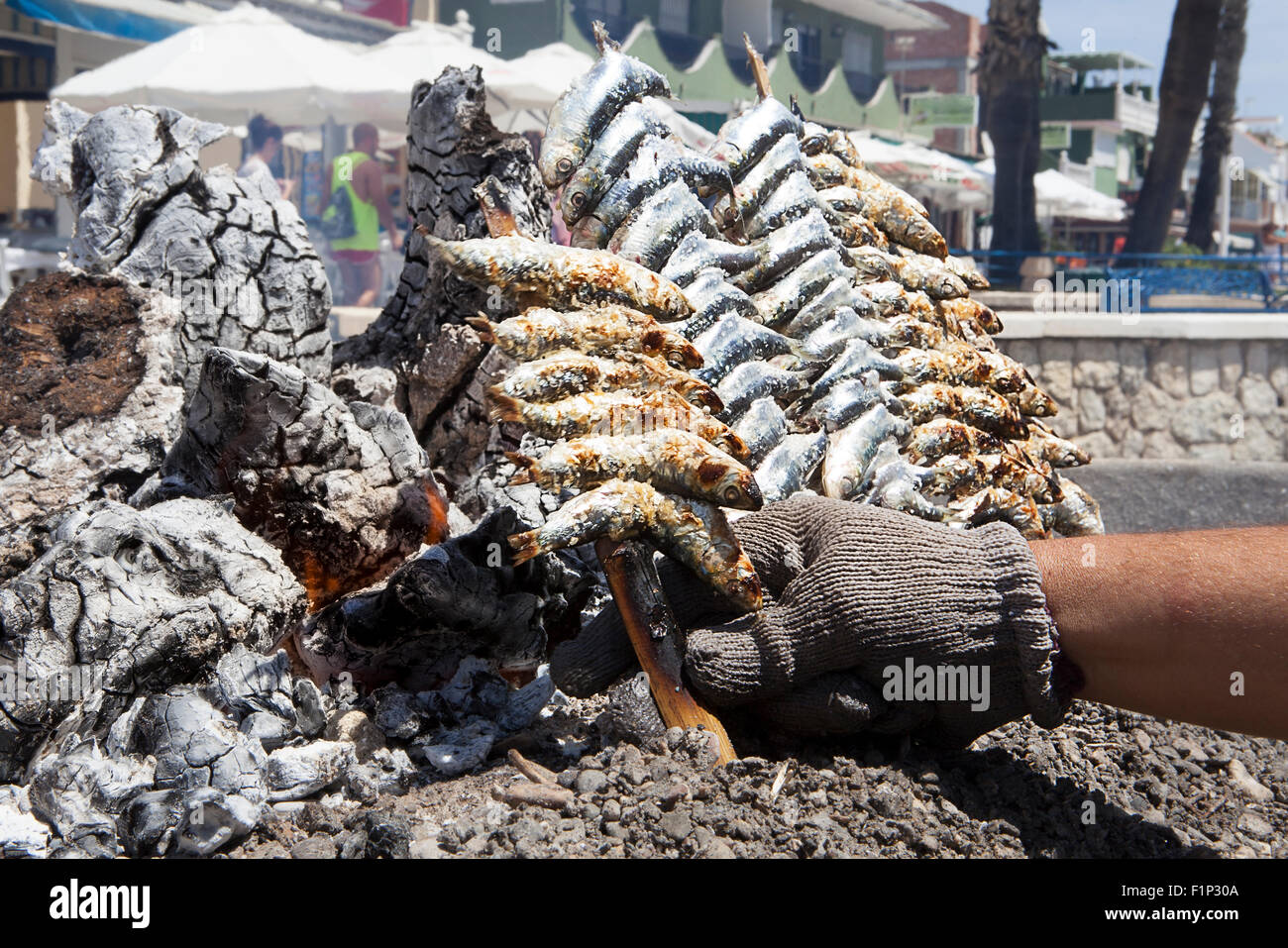 Espetos preparation. Espetos are skewer with sardines in a fire typical ...