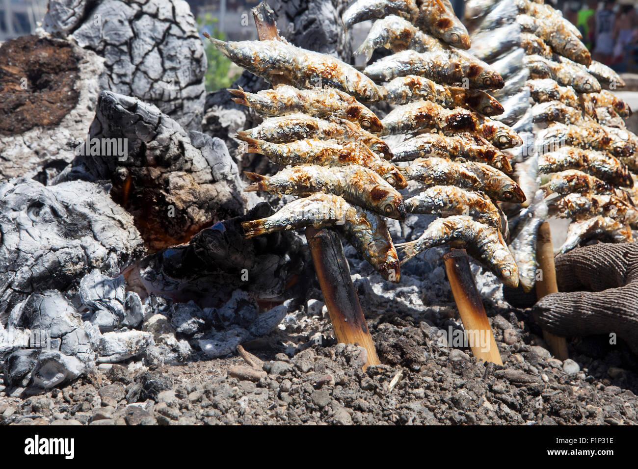 Espetos preparation. Espetos are skewer with sardines in a fire typical ...