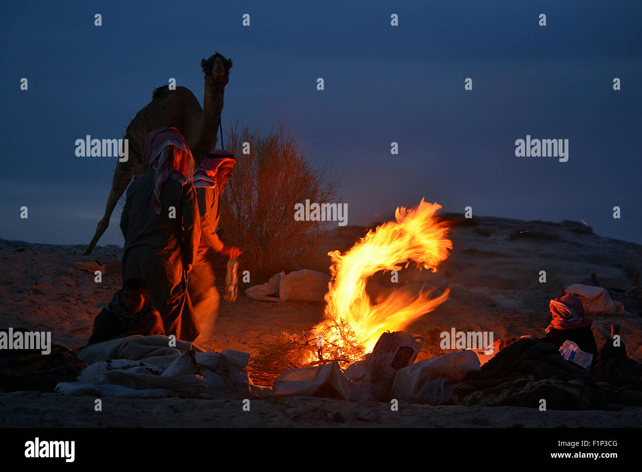 Bedouin of Jordan Stock Photo - Alamy