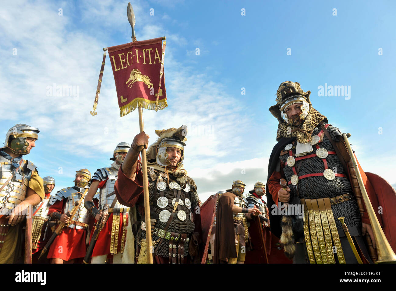Celts battle hi-res stock photography and images - Alamy