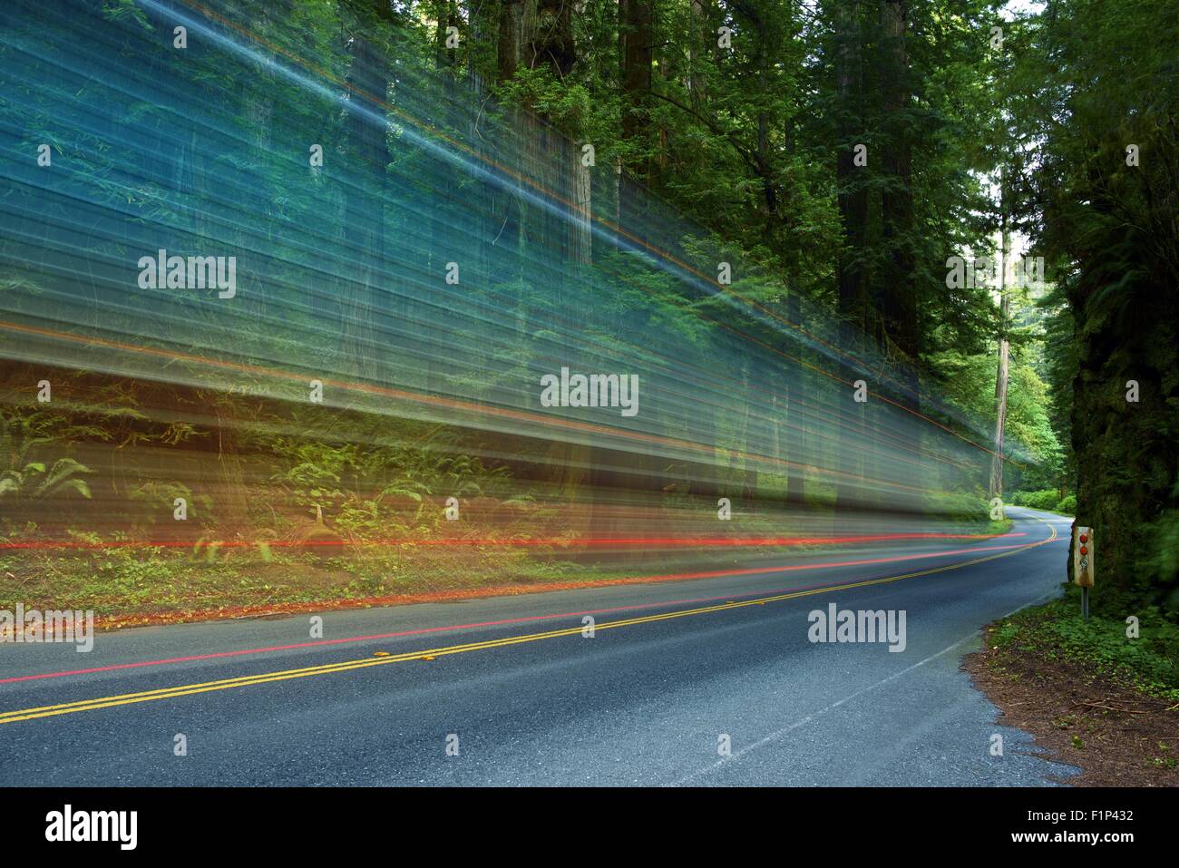 Forest Traffic - Redwood Forest in Northern California, USA and Truck ...