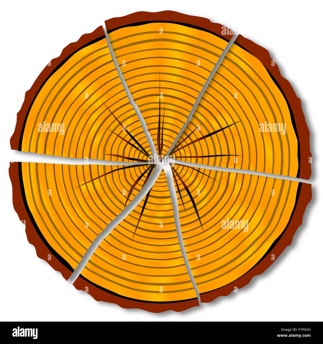 A split logr end section over a white background Stock Photo - Alamy