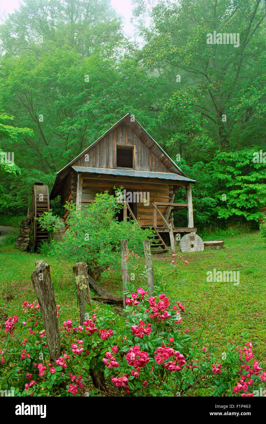 Georgia wildflowers hi-res stock photography and images - Alamy