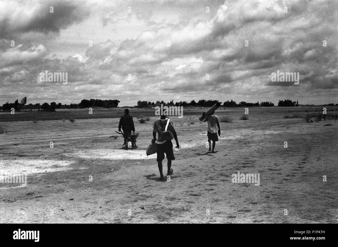 African rice field Black and White Stock Photos & Images - Alamy
