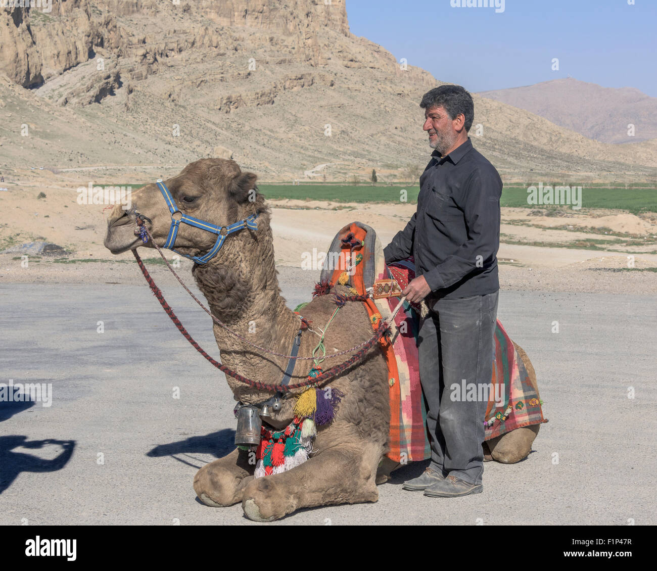 Camel handler hi-res stock photography and images - Alamy