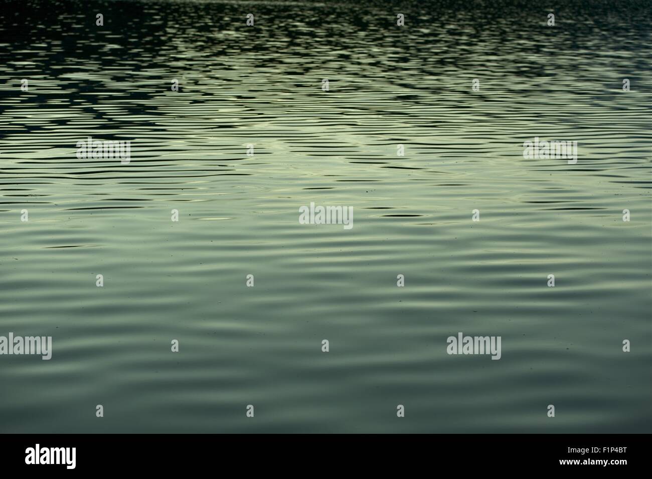 Calm Lake Water Surface Background - Nature Photo Background Stock ...