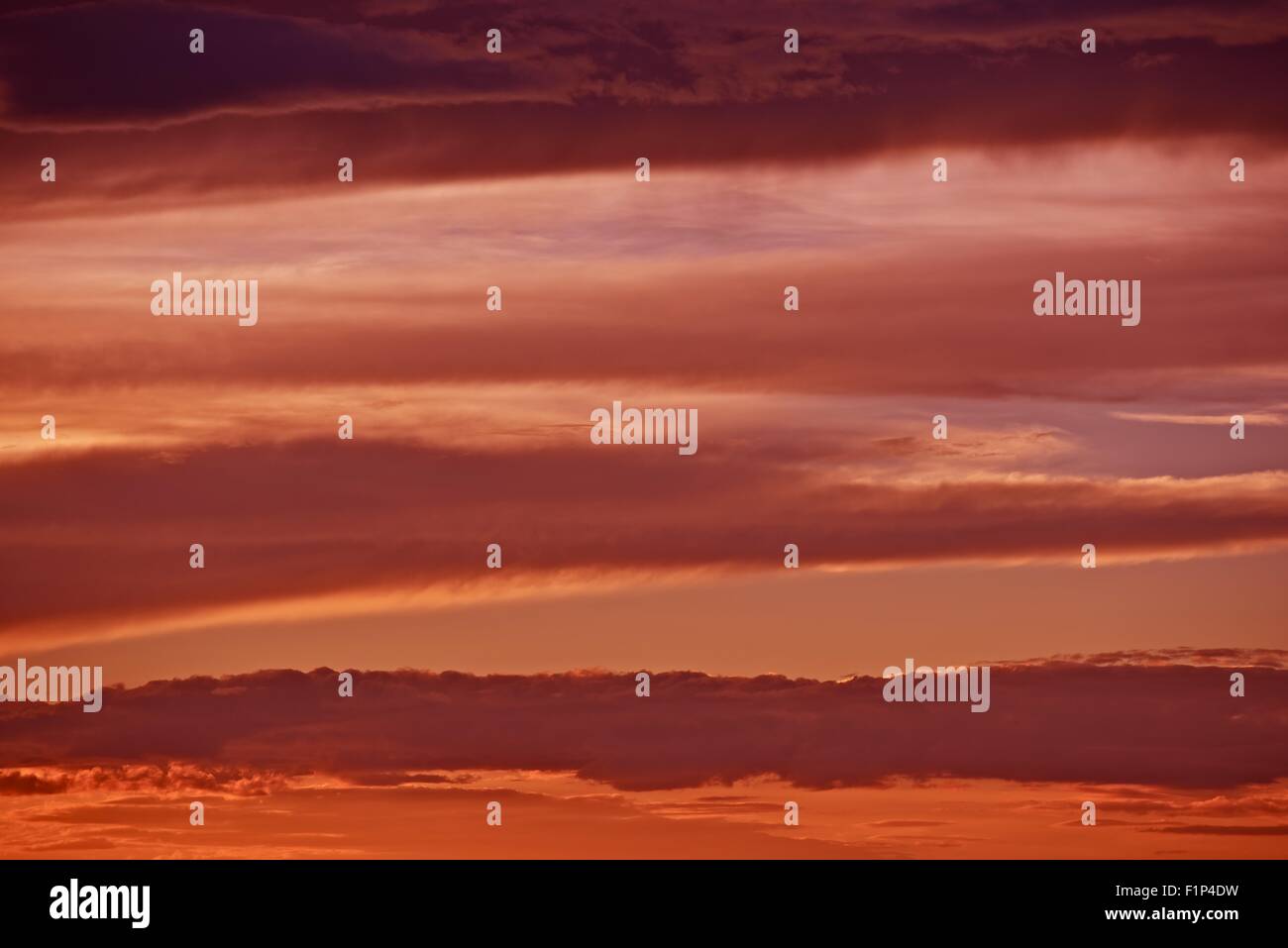 Red Sky Background. Cloudy Sunset - Reddish Clouds Above Arizona ...