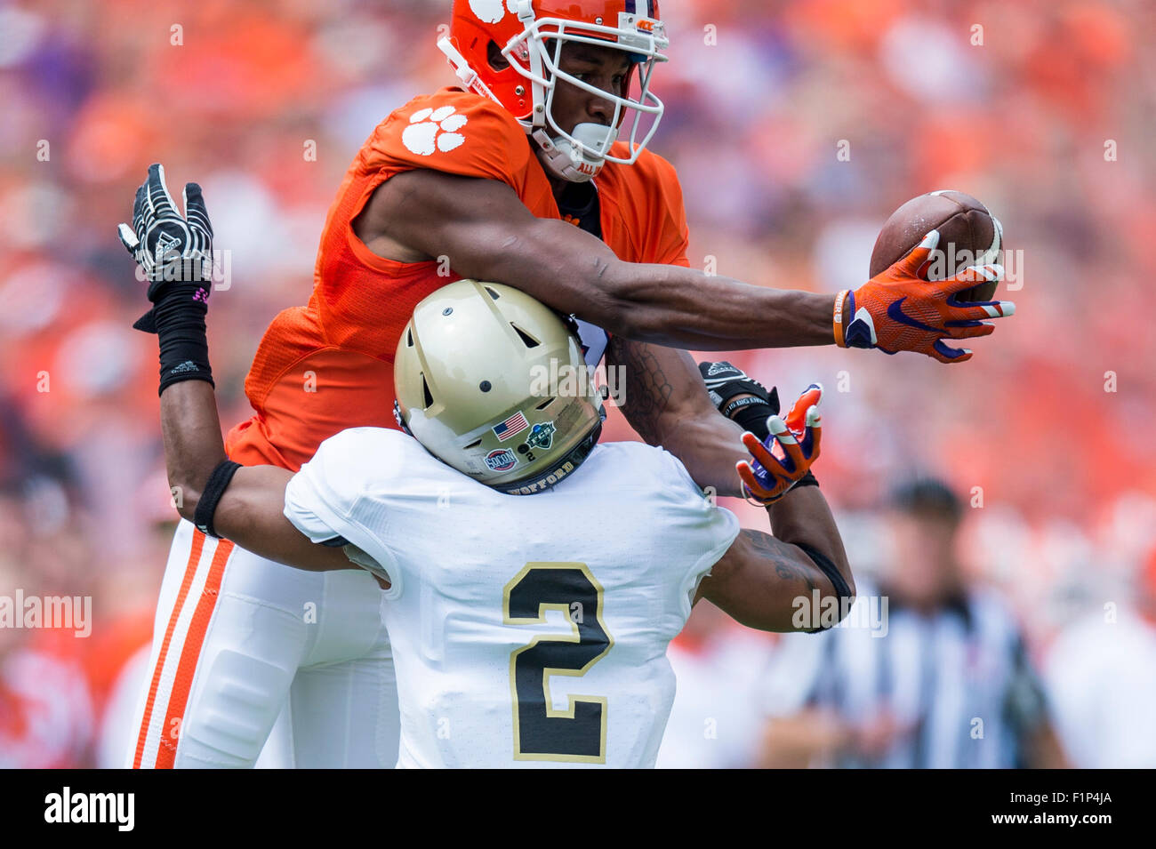 Chris armfield hi-res stock photography and images - Alamy