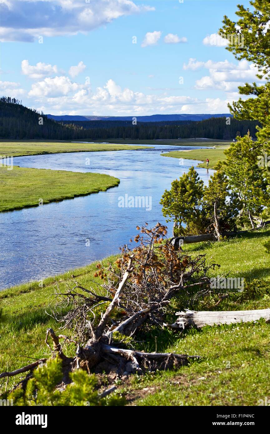 Yellowstone River. Yellowstone National Park, Wyoming, USA. Vertical ...