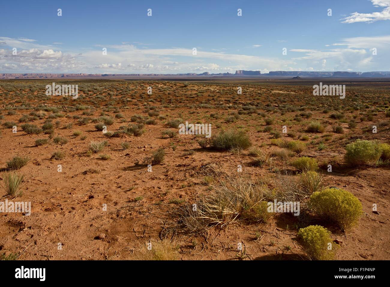 Northern Arizona Desert and Monument Valley in a Distance. Arizona ...