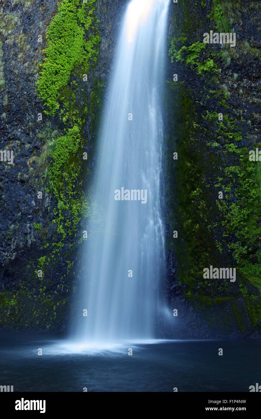 Oregon Waterfall. Waterfalls Photo Collection. Oregon, USA Stock Photo ...