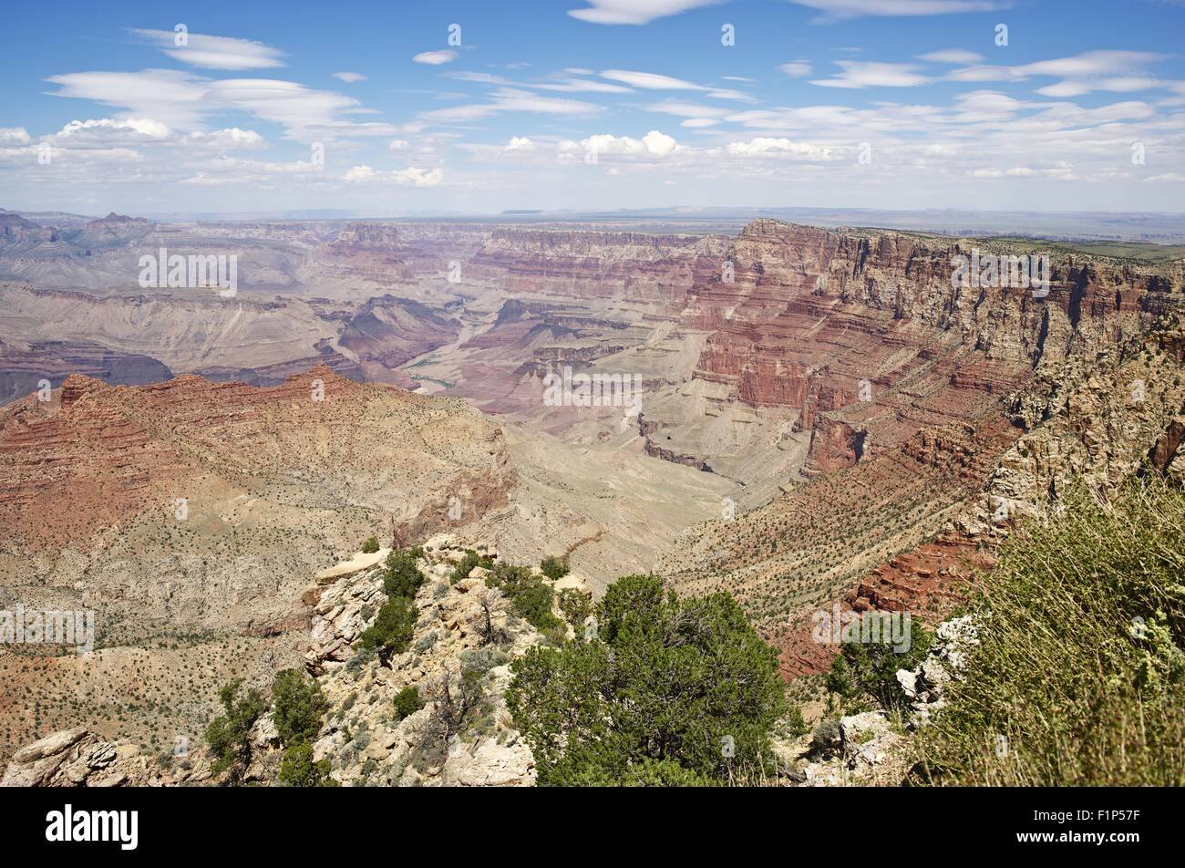 Summer in Grand Canyon National Park, Arizona, USA. Grand Canyon ...
