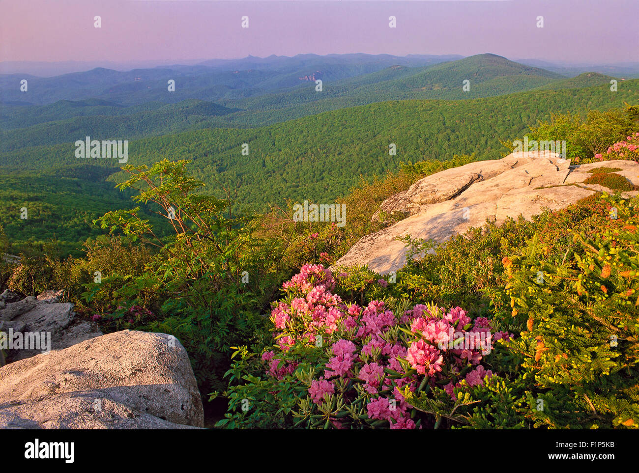 View of Parkway, Rough Ridge, Tanawha Trail, Blue Ridge Parkway, North ...