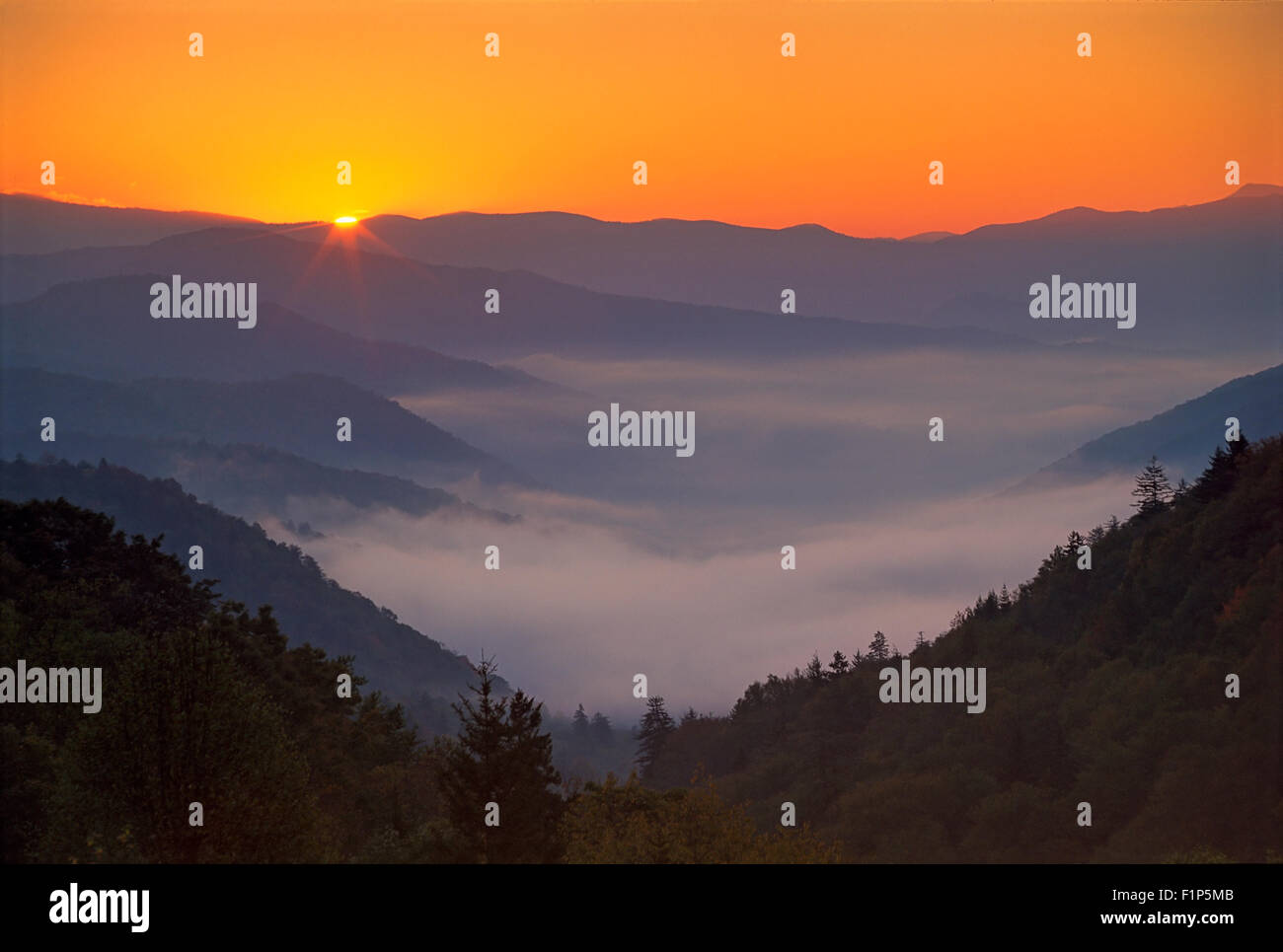 Fog at Sunrise from Newfound Gap, Great Smoky Mountains National Park ...