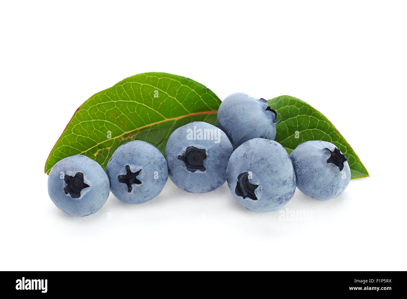 Blueberry fruit closeup isolated on white Stock Photo - Alamy