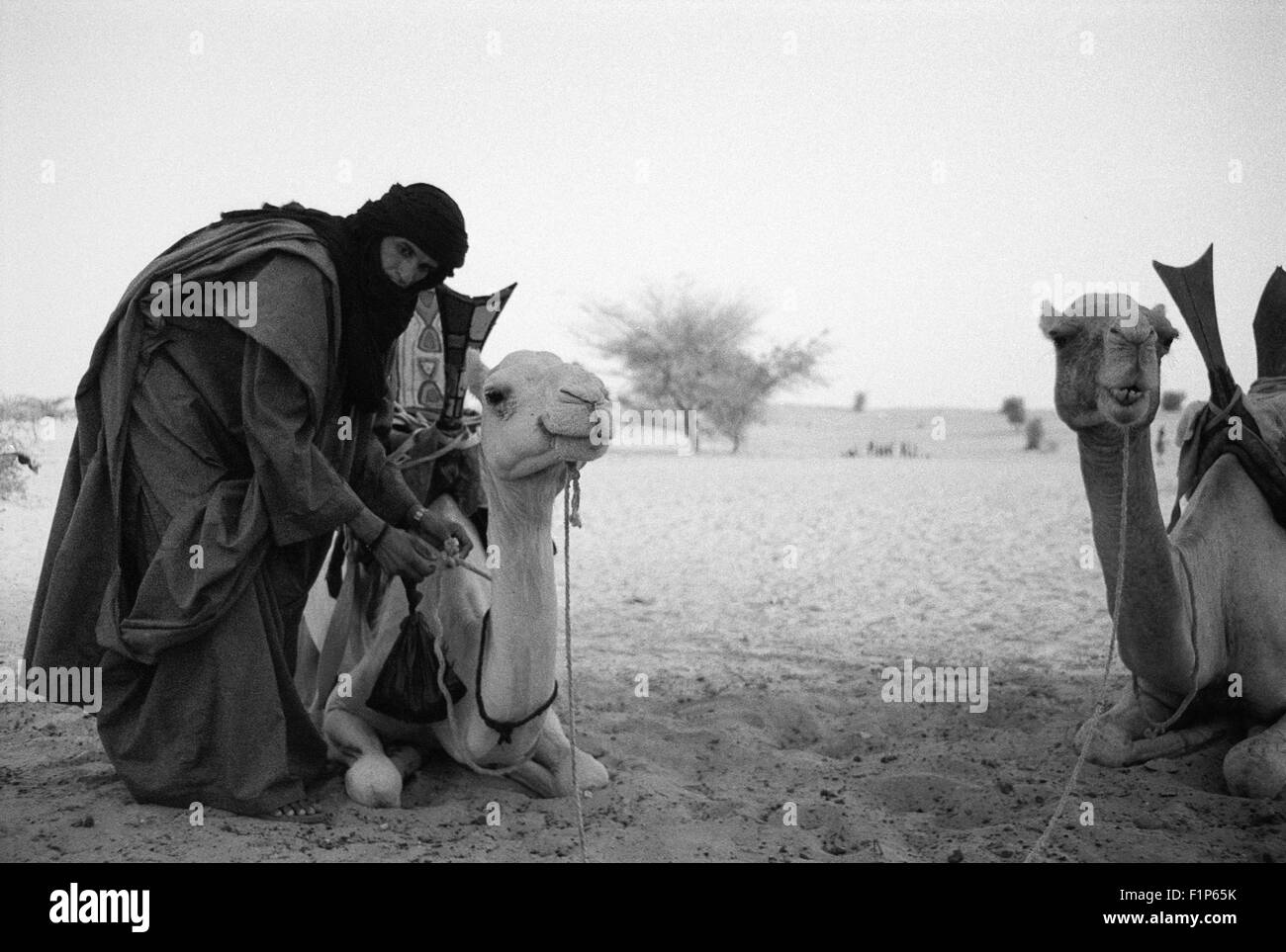 Tuareg Portrait, Timbuktu region, Mali Stock Photo - Alamy