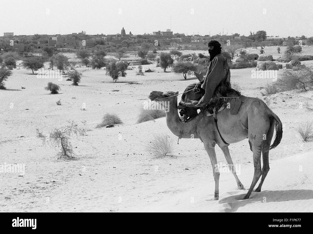 Tuareg Portrait, Timbuktu region, Mali Stock Photo - Alamy