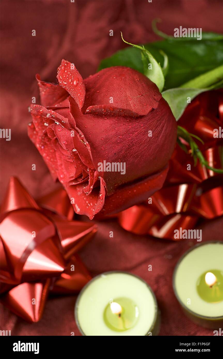 The Red Rose. Fresh Cut Red Rose and Small Green Candles Stock Photo ...