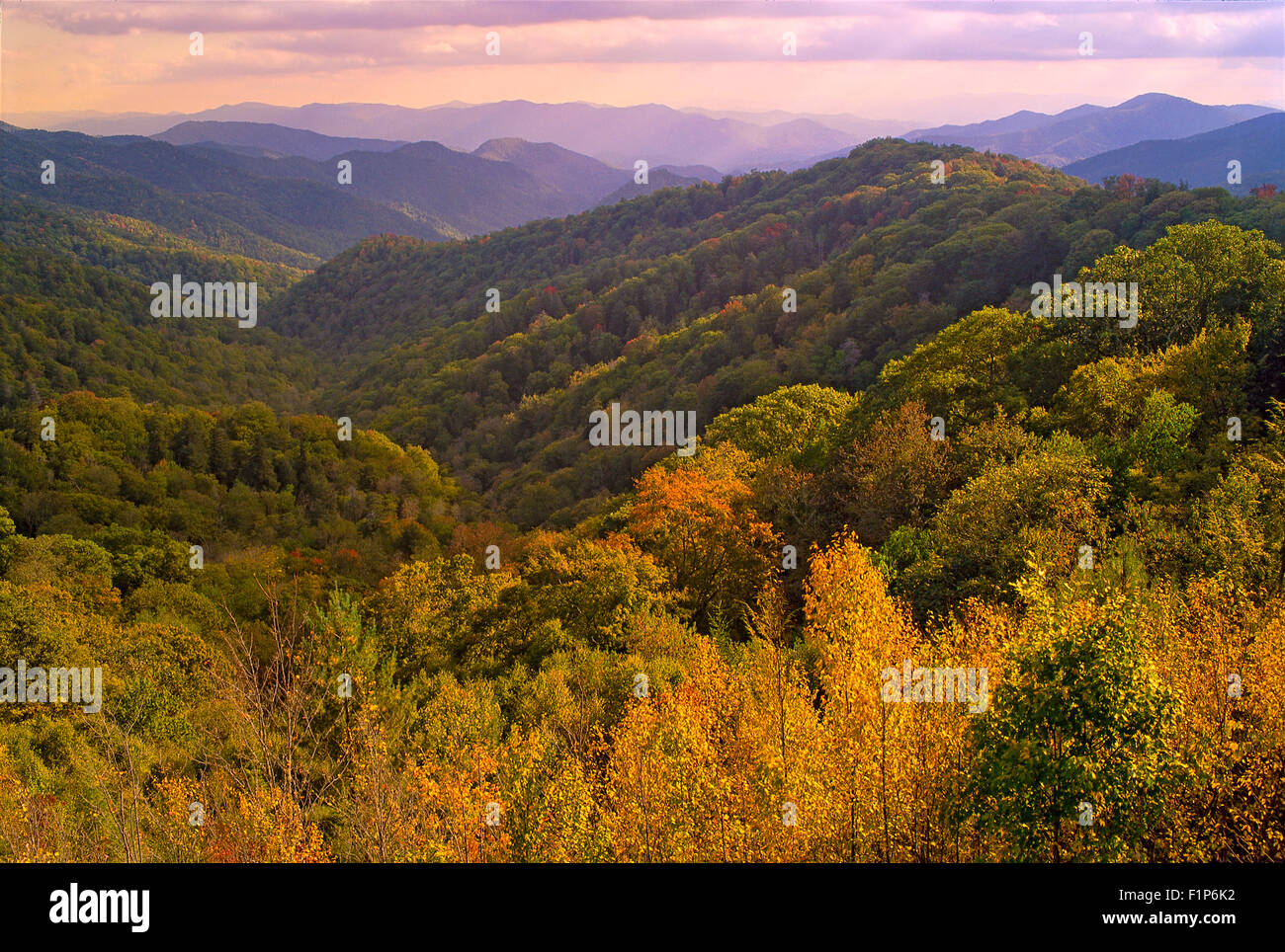 Looking West In Newfound Gap, Great Smoky Mountains National Park ...
