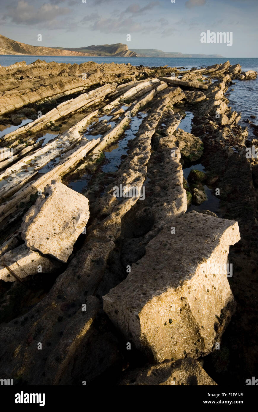 Mupe Bay on Dorset's Jurassic Coast located in the Lulworth Army Range ...