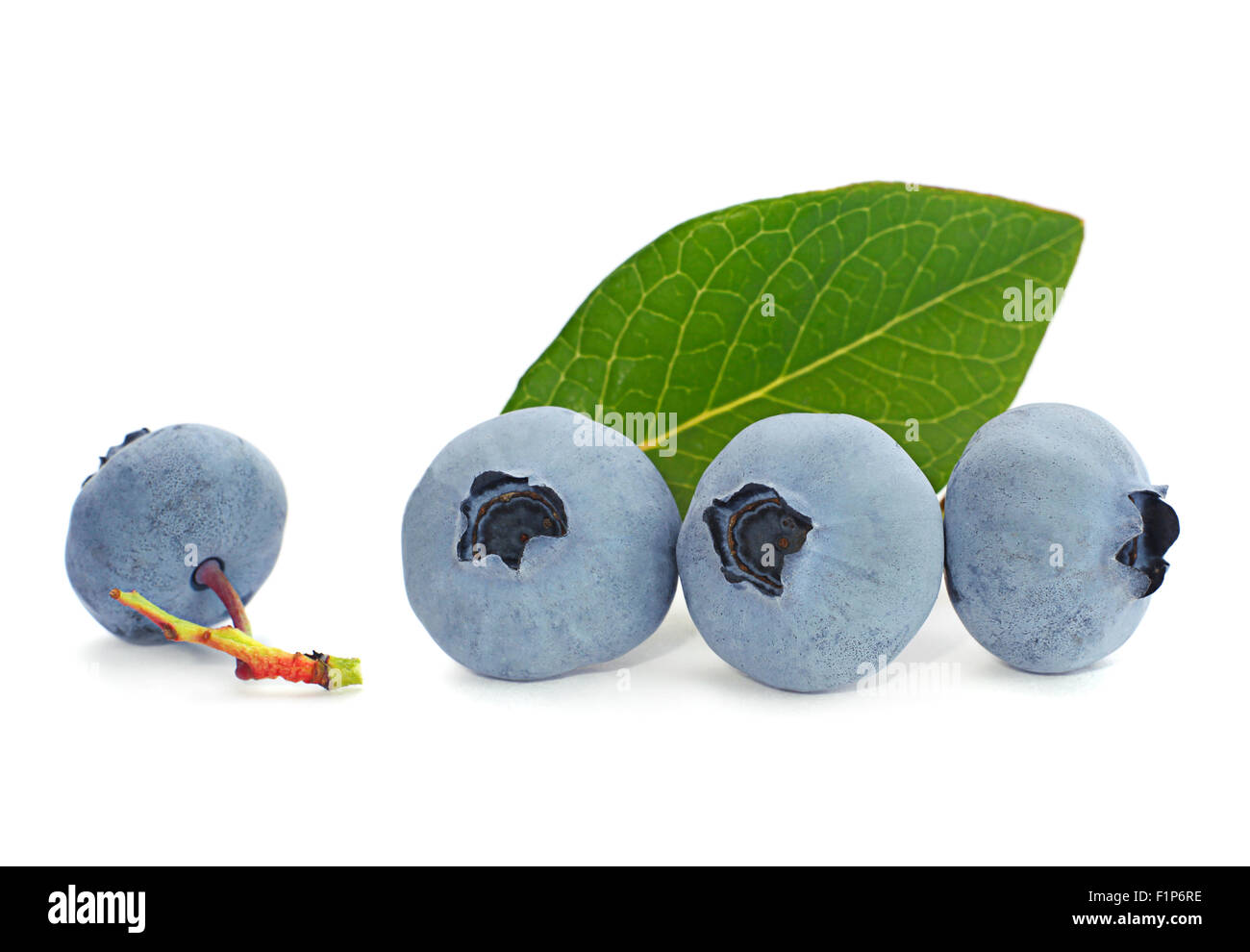 Blueberry fruit closeup isolated on white Stock Photo - Alamy
