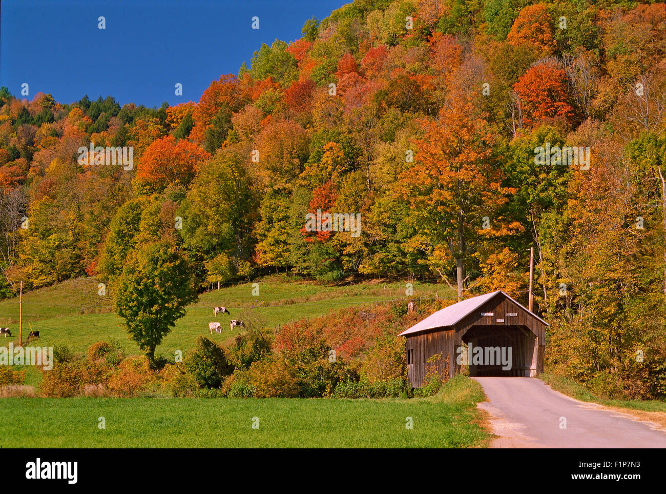 Vermont bridge autumn hi-res stock photography and images - Alamy
