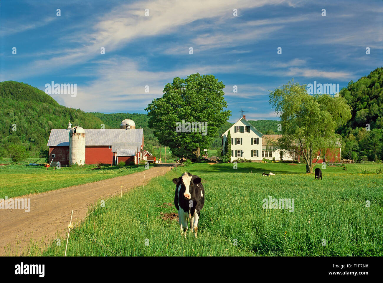 Vermont dairy farm hi-res stock photography and images - Alamy
