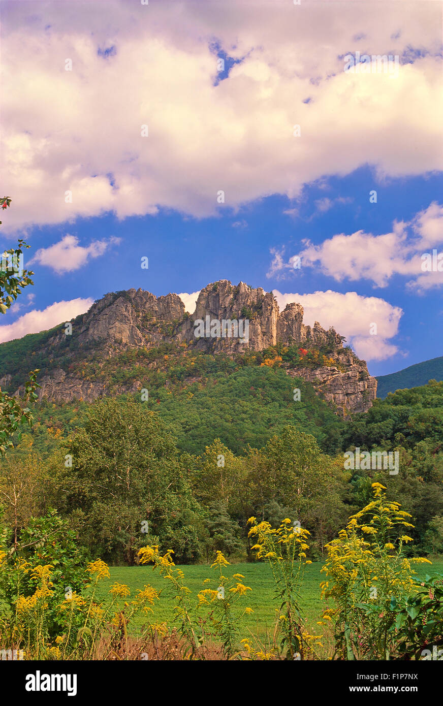 Climbing west virginia seneca rocks hi-res stock photography and images ...