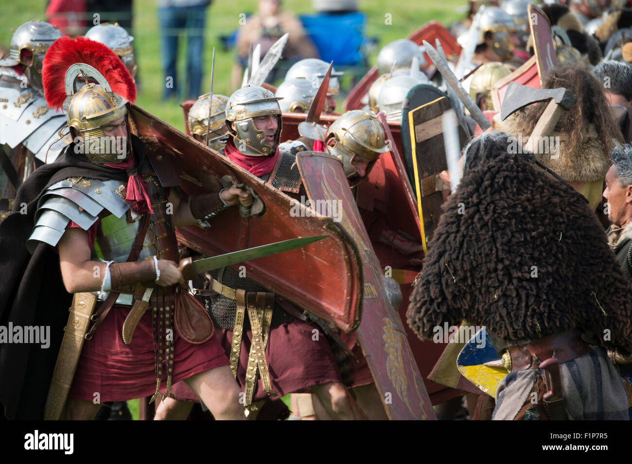 Roman army shield wall High Resolution Stock Photography and Images - Alamy