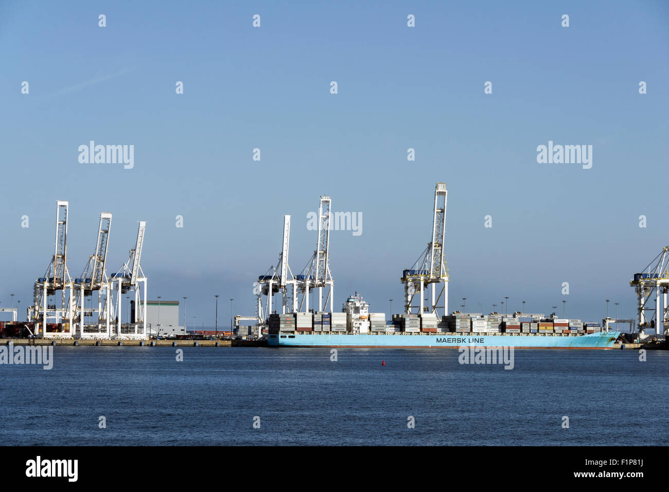 Damietta hi-res stock photography and images - Alamy