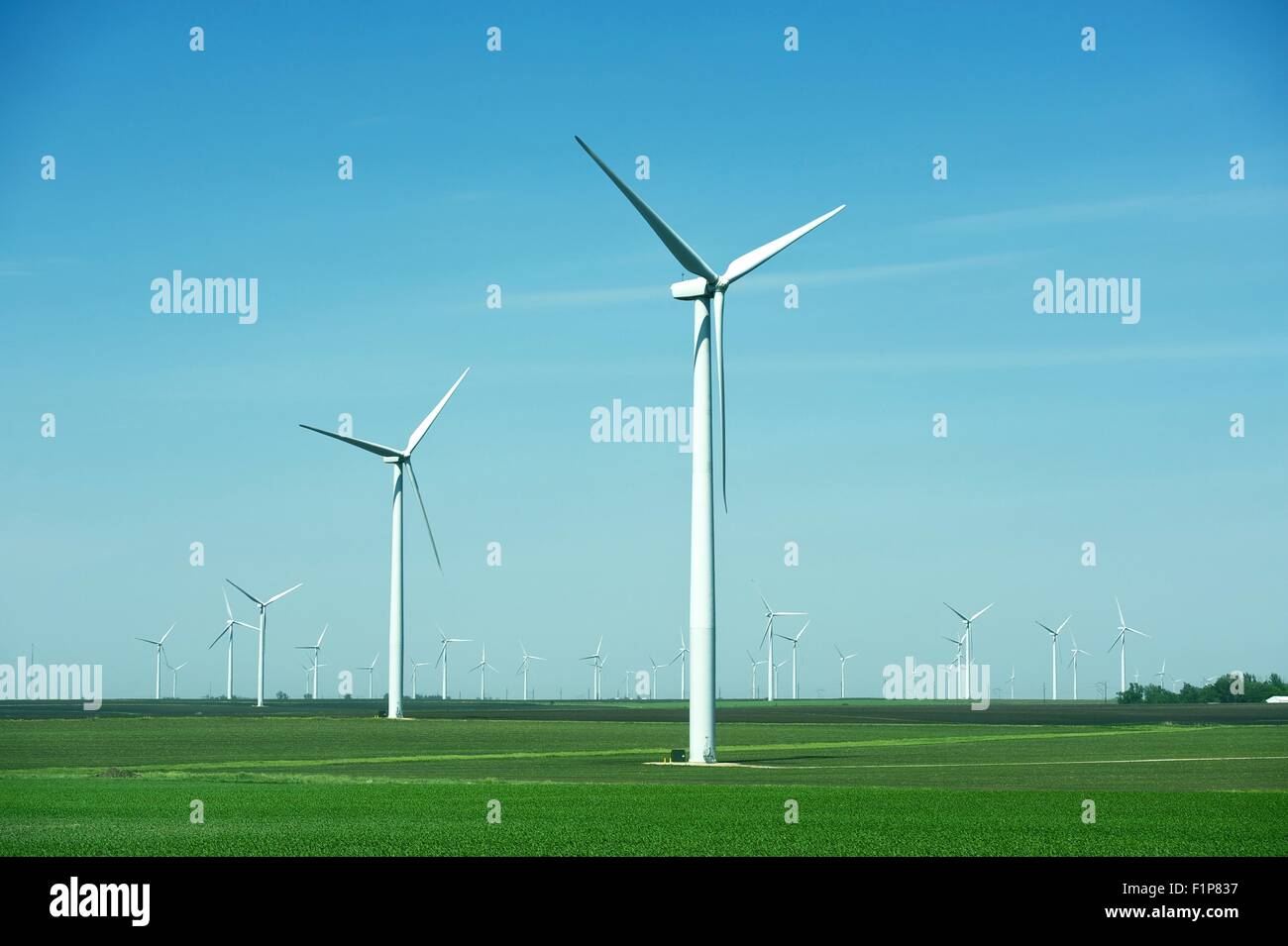 Wind Mills Plantation - Wind Turbines in Minnesota, USA. Green Energy ...