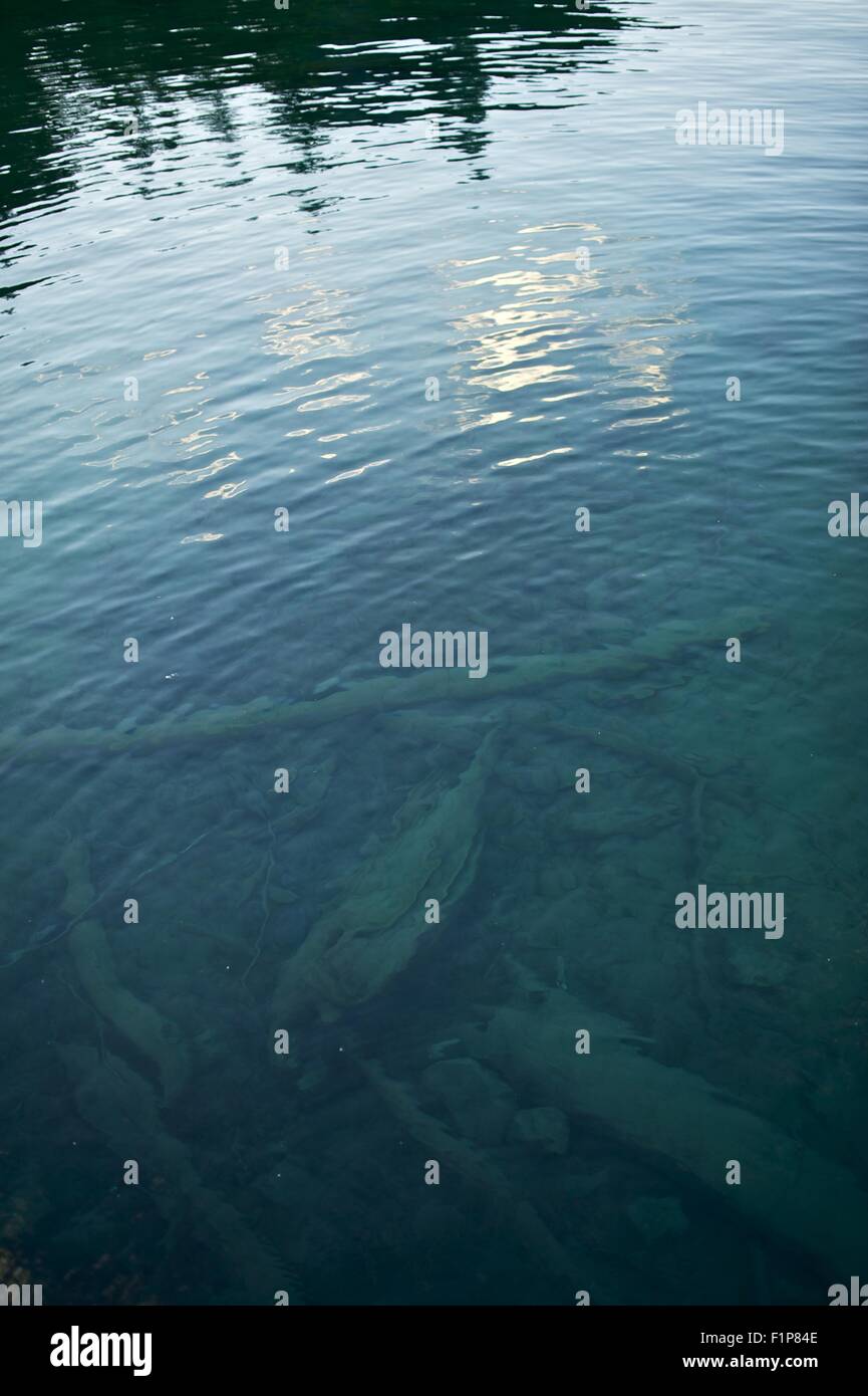 Deep Clear Water of Lake Crescent in Washington State, USA. Vertical ...