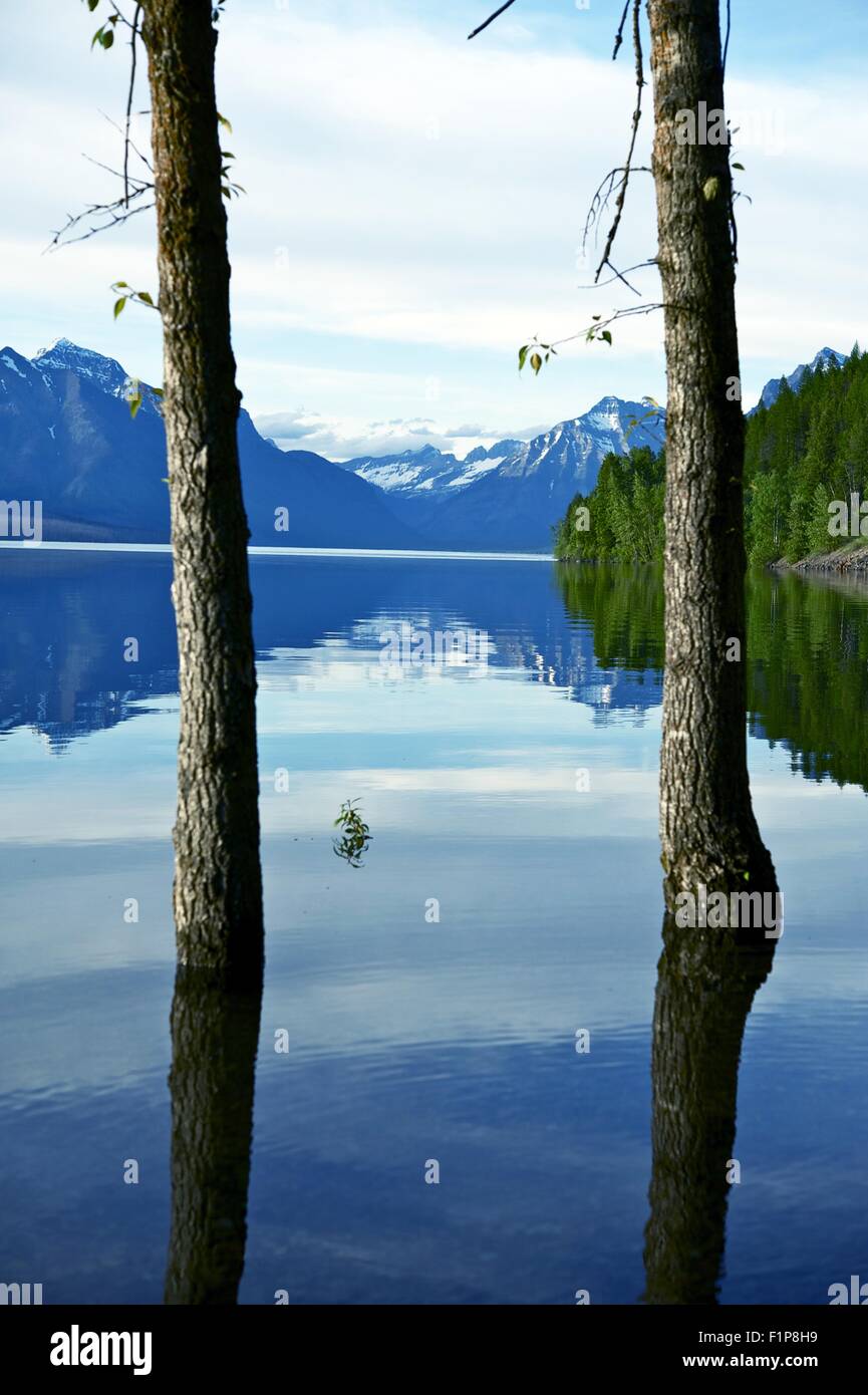 Glacier Nature Gate. Two Trees Growing in McDonald Lake, Glacier ...